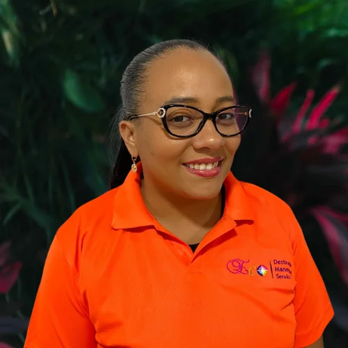 The dynamic team at ECODMS || ECO DMS